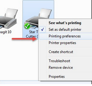 Star TSP100 Printer Setup: Windows